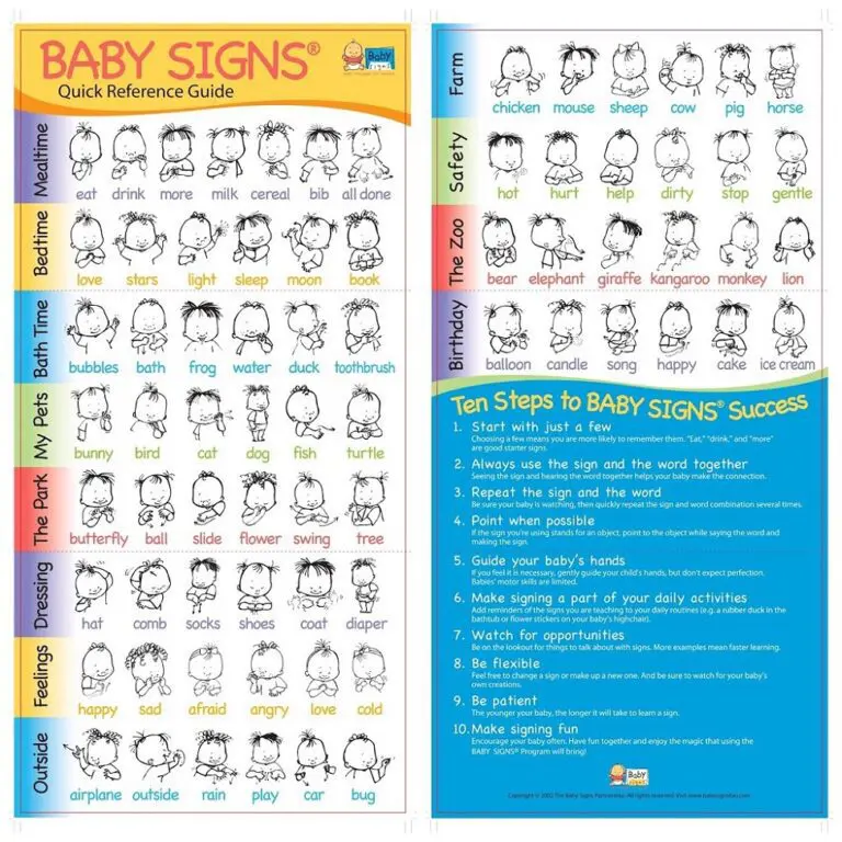 Baby Signs® Quick Reference Guide – 5 Pack of Laminated Baby Sign ...