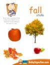 Baby Signs® Fall/Autumn Signs Poster Pack | 8 Seasonal Posters (English ...