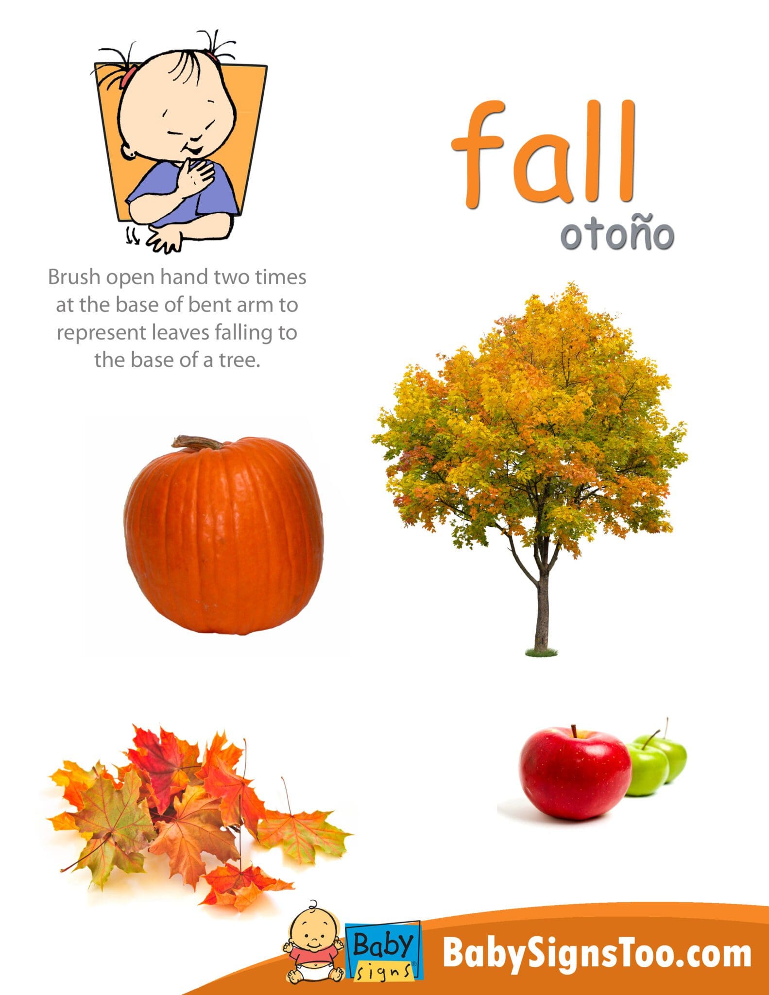 Baby Signs® Fall/Autumn Signs Poster Pack | 8 Seasonal Posters (English ...