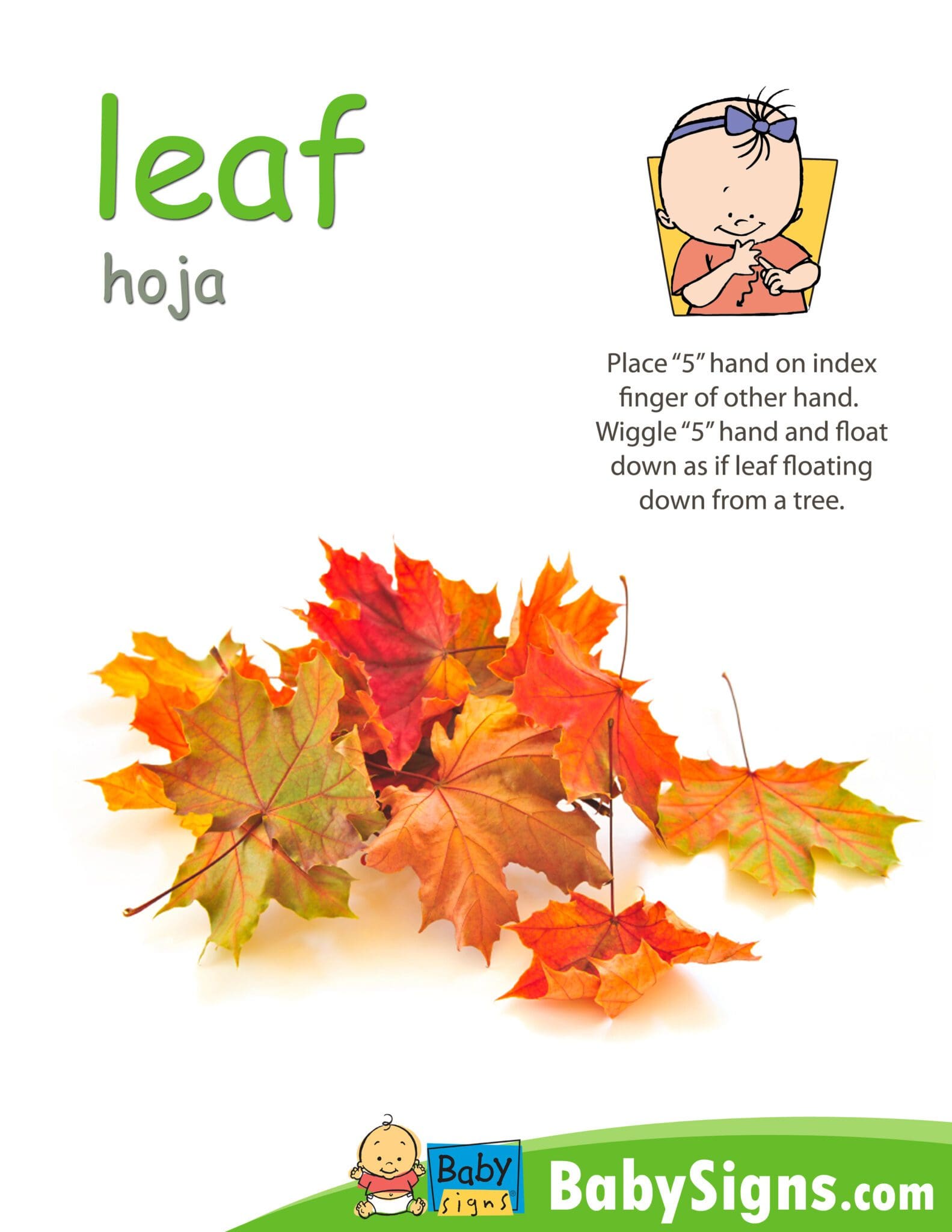 Baby Signs® Fall/Autumn Signs Poster Pack | 8 Seasonal Posters (English ...