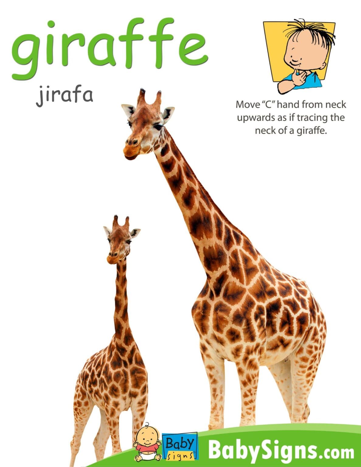 Zoo Animal Signs Poster Pack - Baby Signs®