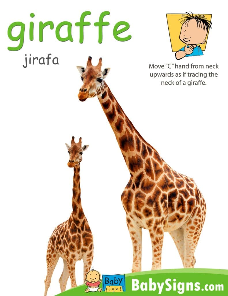 Zoo Animal Signs Poster Pack - Baby Signs®