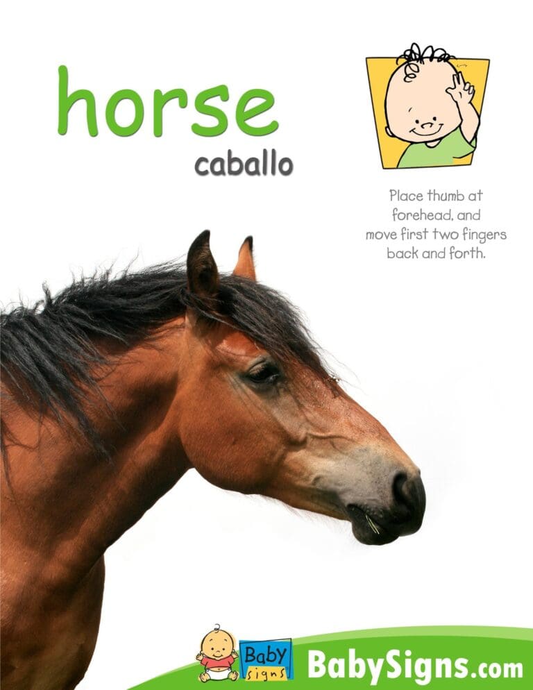 Farm Animal Signs Poster Pack - Baby Signs®