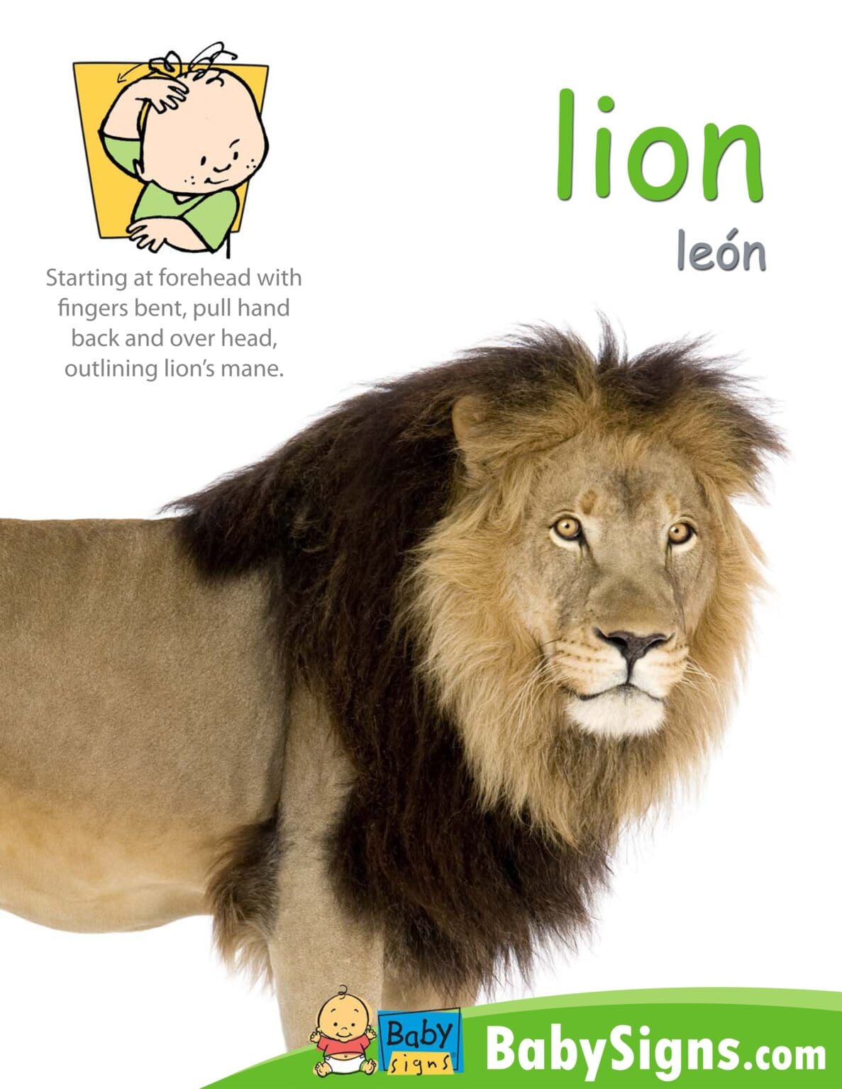 Zoo Animal Signs Poster Pack - Baby Signs®